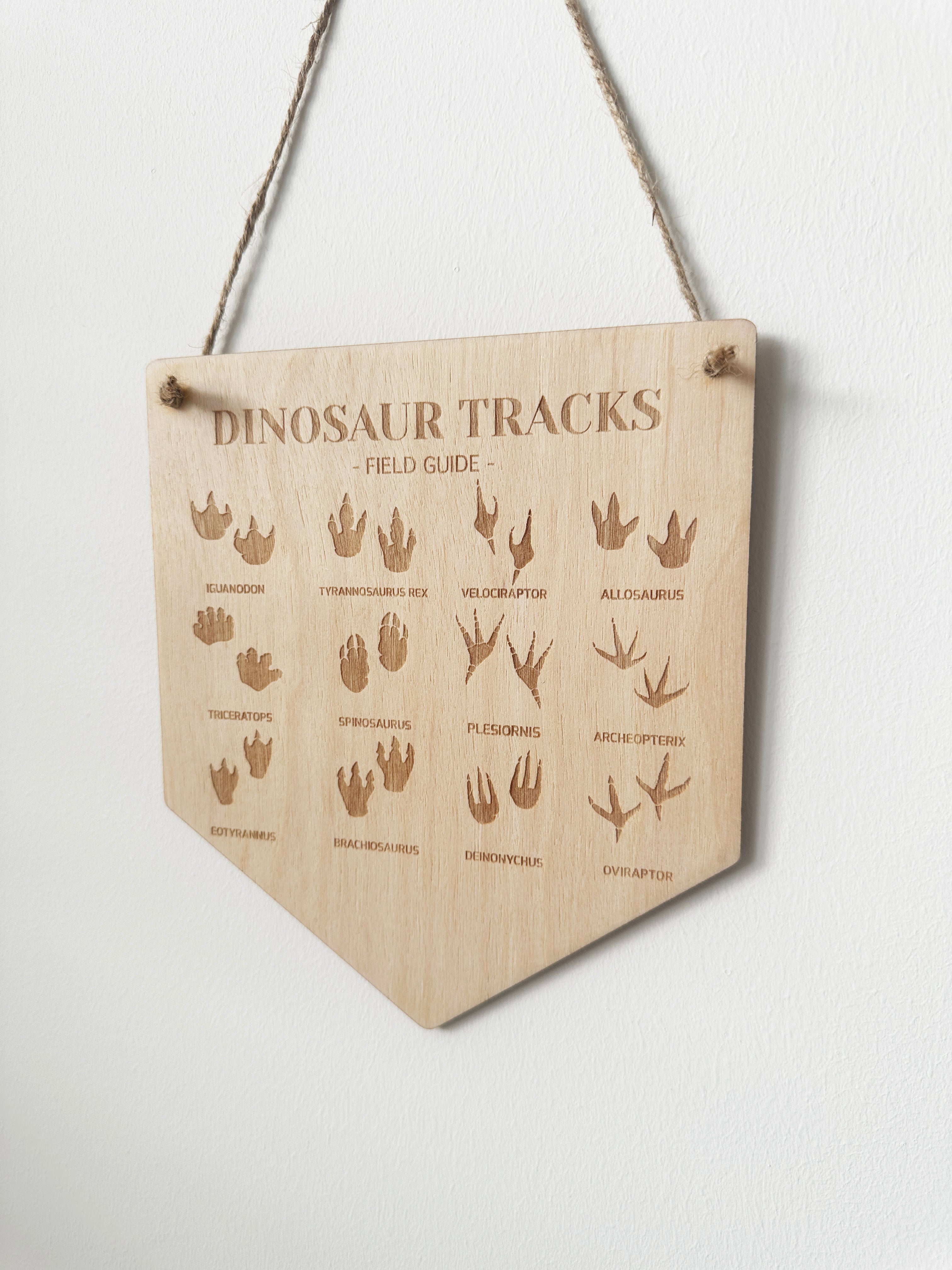 Dinosaur Tracks Field Guide Pennant – Sunshine & Rayn
